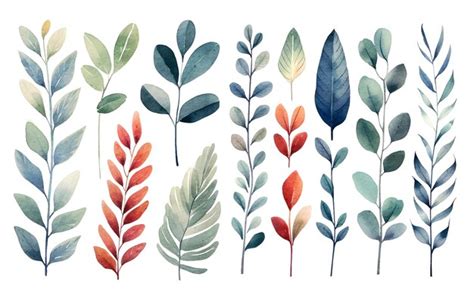 Premium Vector Vector Hand Drawn Watercolour Floral Leaves