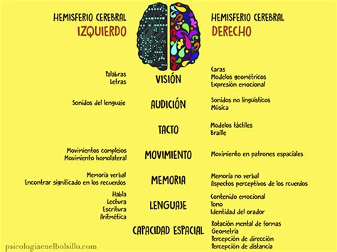 Cómo Desarrollar el Lado Izquierdo del Cerebro para Mejorar tu