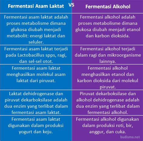 Perbedaan Fermentasi Asam Laktat Dan Fermentasi Alkohol Perbedaan