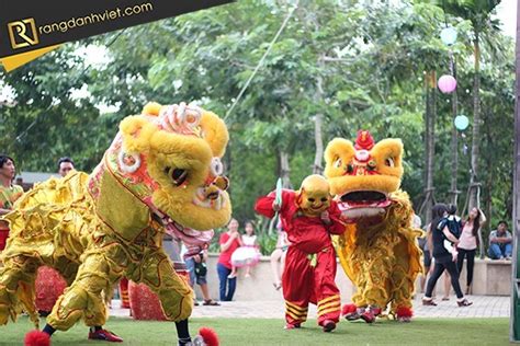Tuyển tập hình ảnh múa lân tết trung thu với những màn trình diễn đầy