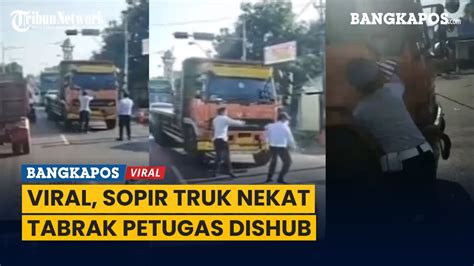 Viral Sopir Truk Nekat Tabrak Petugas Dishub Saat Melakukan