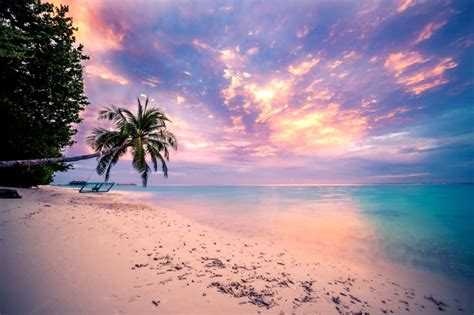 Details 64 Tropical Sunset Pink Beach Wallpaper In Cdgdbentre