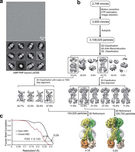 image processing workflow for amp pnp bound lolcde in closed and open download scientific