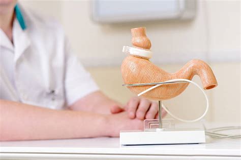 Cirurgia Bari Trica Tipos Momento Adequado Vantagens