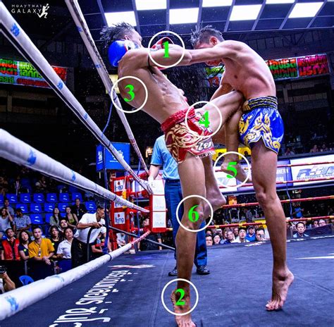 Thai Fight