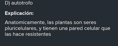 Es Una Caracter Stica Del Reino Plantae A Procariota B Unicelular C