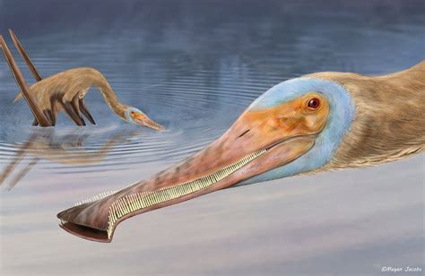 Odkryto nowy gatunek dinozaura Zaskoczył badaczy przeciwstawnym kciukiem