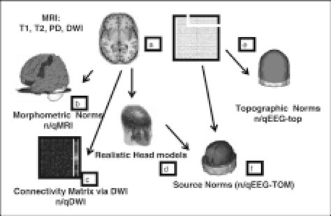 the chbmp multimodal neuroimaging processing workflow a download scientific diagram