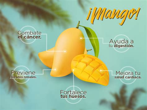 La fruta favorita de muchos también es la fruta del verano Conoce los