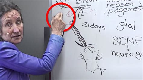 It Is In This Part Of The Brain Where God Communicates With Men