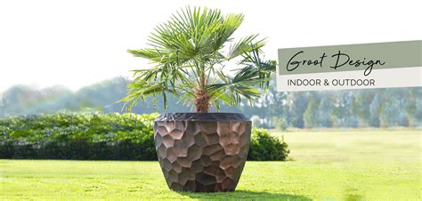 Hoge Plantenbak Vaas Of Bloempot Voor Binnen En Buiten