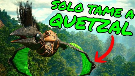 How To SOLO TAME A QUETZAL On Ark Survival Ascended ASA Tips And