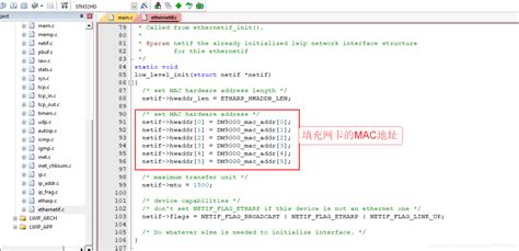 stm32入门开发 lwip网络协议栈移植 网卡采用dm9000 网卡芯片和stm32 csdn博客