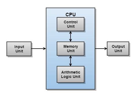 what is cpu what is central processing unit computer basics teaching computers computer