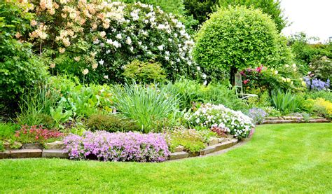 24 plantes pour créer un massif sans entretien Jardiland