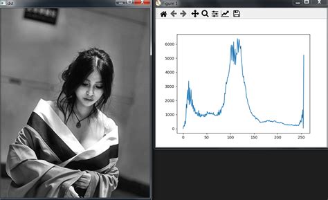 python opencv 图像处理之图像直方图，取经之旅第 25 天 infoq 写作平台