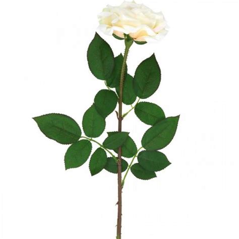 Floristik24 It Rosa Albicocca Bianco Crema Fiore Di Seta Rose