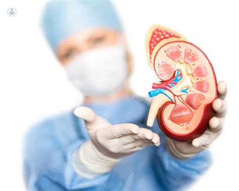 Trasplante Renal Todo Lo Que Se Necesita Saber Top Doctors