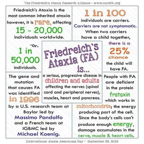 Ataxia Friedreich S Ataxia Peripheral Nerve Alliance