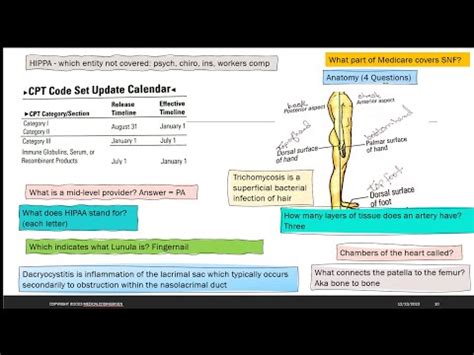 Nervous System Laminotomy Laminectomy Exploration Decompression Youtube