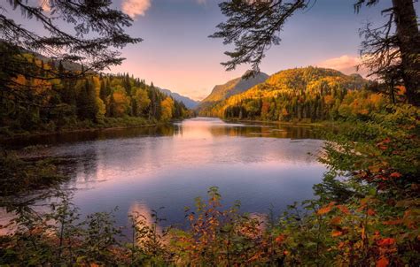 Wallpaper Autumn Forest Trees Mountains Branches River Canada