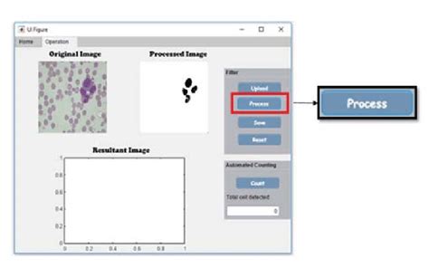processed image after segmentation and morphological operation applied download scientific diagram