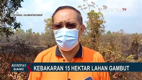 Dipicu Cuaca Panas Hektar Lahan Gambut Di Pontianak Kebakaran