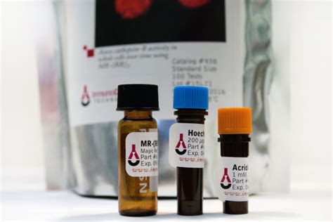 Magic Red Tm Cathepsin B Assay Kit Immunochemistry Technologies