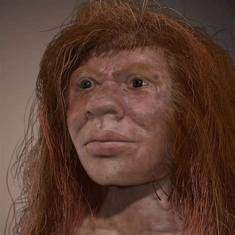 6 Descobertas Que Mudam O Que Sabemos Sobre A Origem Dos Seres Humanos