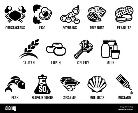 Allergie alimentaire y compris les icônes 14 allergies alimentaires