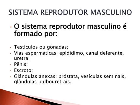 SISTEMAS REPRODUTORES FEMININO E MASCULINO Ppt Carregar