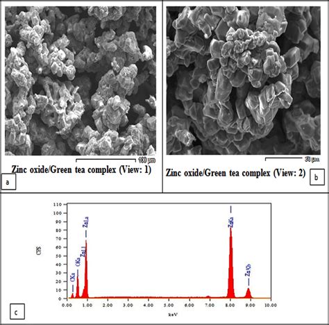Scanning Electron Microscopy SEM Analysis Showing The Morphology Of