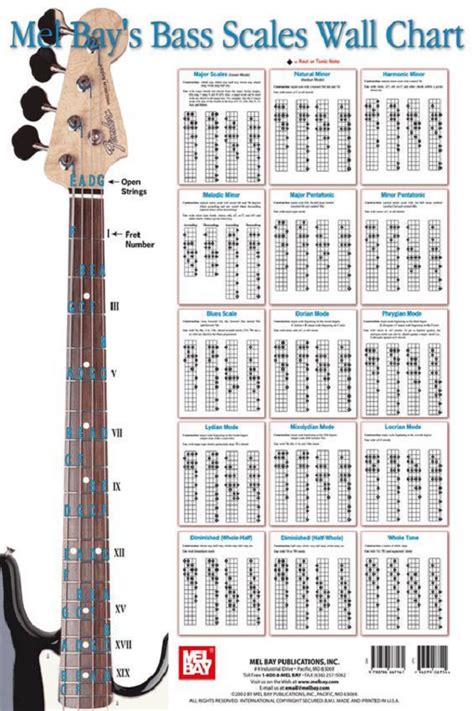 Bass Guitar Scales Wall Charts Bass Player Center