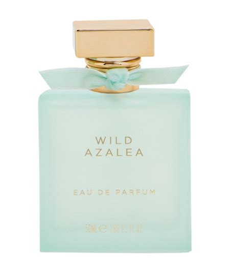 10 Best Primark Perfumes For Women Reviewed Viora London
