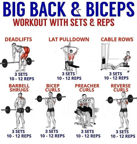 Back And Biceps Workout Gym