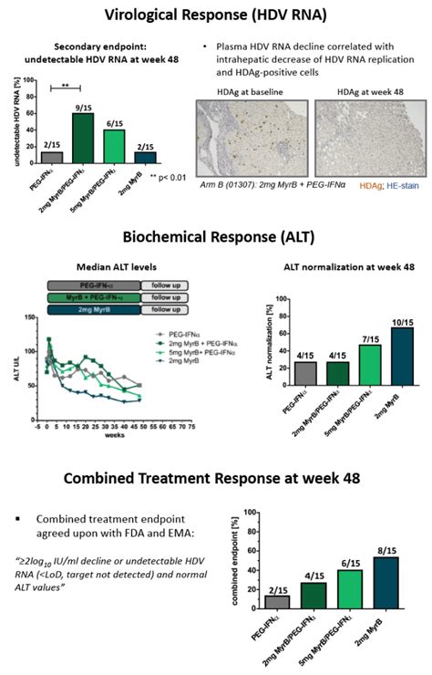interim results of a multicenter open label phase 2 clinical trial myr203 to assess safety