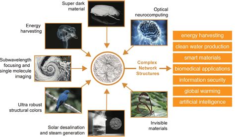 Evolutionary Complexity Primalight