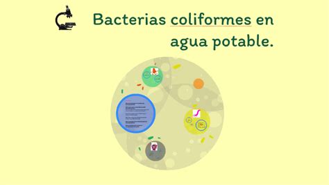 Bacterias Coliformes En Agua Potable By Alondra Castelazo Hernandez On