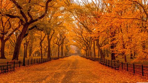 4K Fall Wallpapers Top Free 4K Fall Backgrounds WallpaperAccess