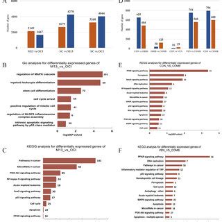Differential Gene Expression Analysis And Enrichment Results Of