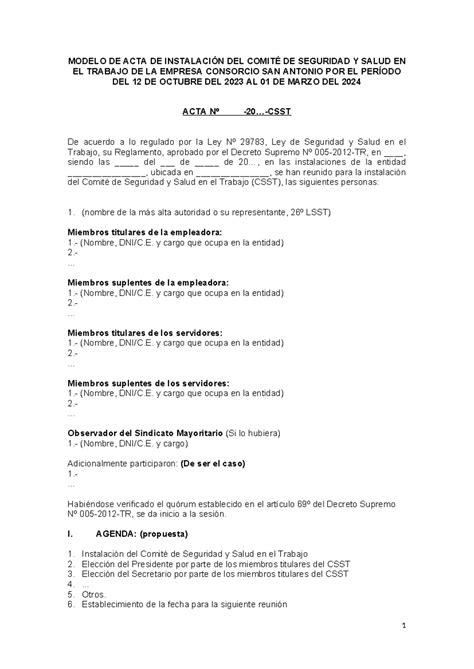 Anexo Nº 11 Modelo de Acta de Instalación del CSST MODELO DE ACTA