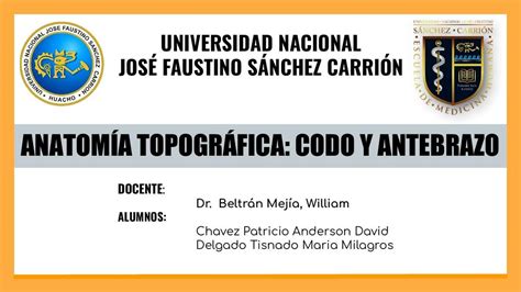 Anatomía Topográfica Codo y Antebrazo Anderson Chavez Patricio uDocz