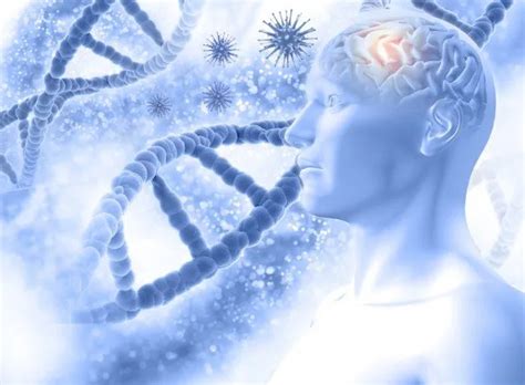 Causes For Alzheimers Disease Stages And Treatment Credihealth