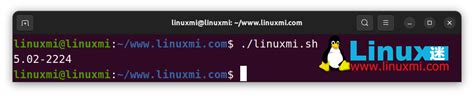 5 个绝妙的 bash 字符串操作方法，每个开发者都应该掌握 linux迷