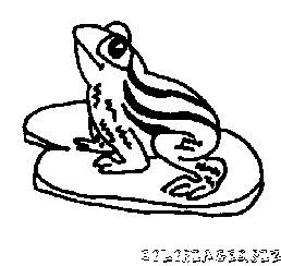 Coloriage Grenouilles Gratuit 2533 Animaux