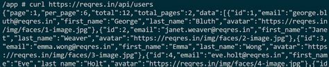 How To Install And Use CURL In Docker Containers