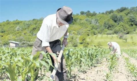 Producción agrícola y pesquera en América Latina crecerá 12 al 2032