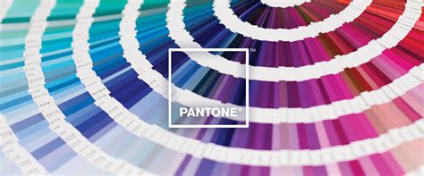 Diferencias entre RGB vs CMYK vs Pantone y cuándo usarlos