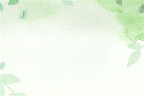 Green Leaves On White Background With Space For Text