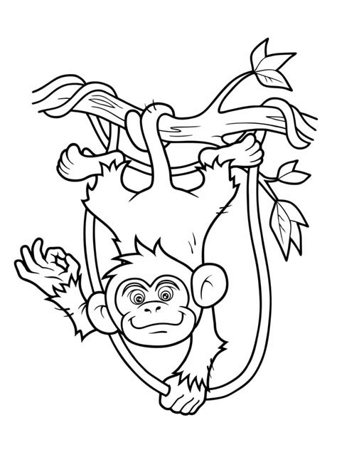 Coloriage Singe Dessins Imprimer